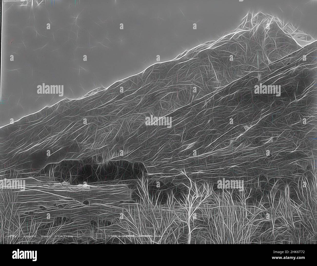 Inspired by Routeburn Station, Burton Brothers studio, photography ...