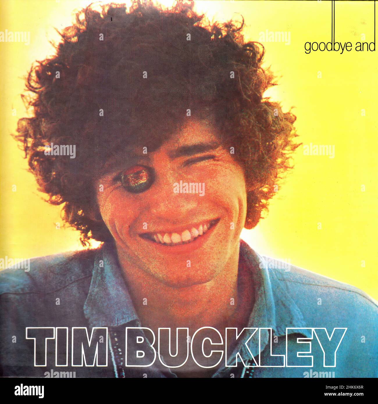 Vintage vinyl record cover - Buckley, Tim - Goodbye And Hello - D ...