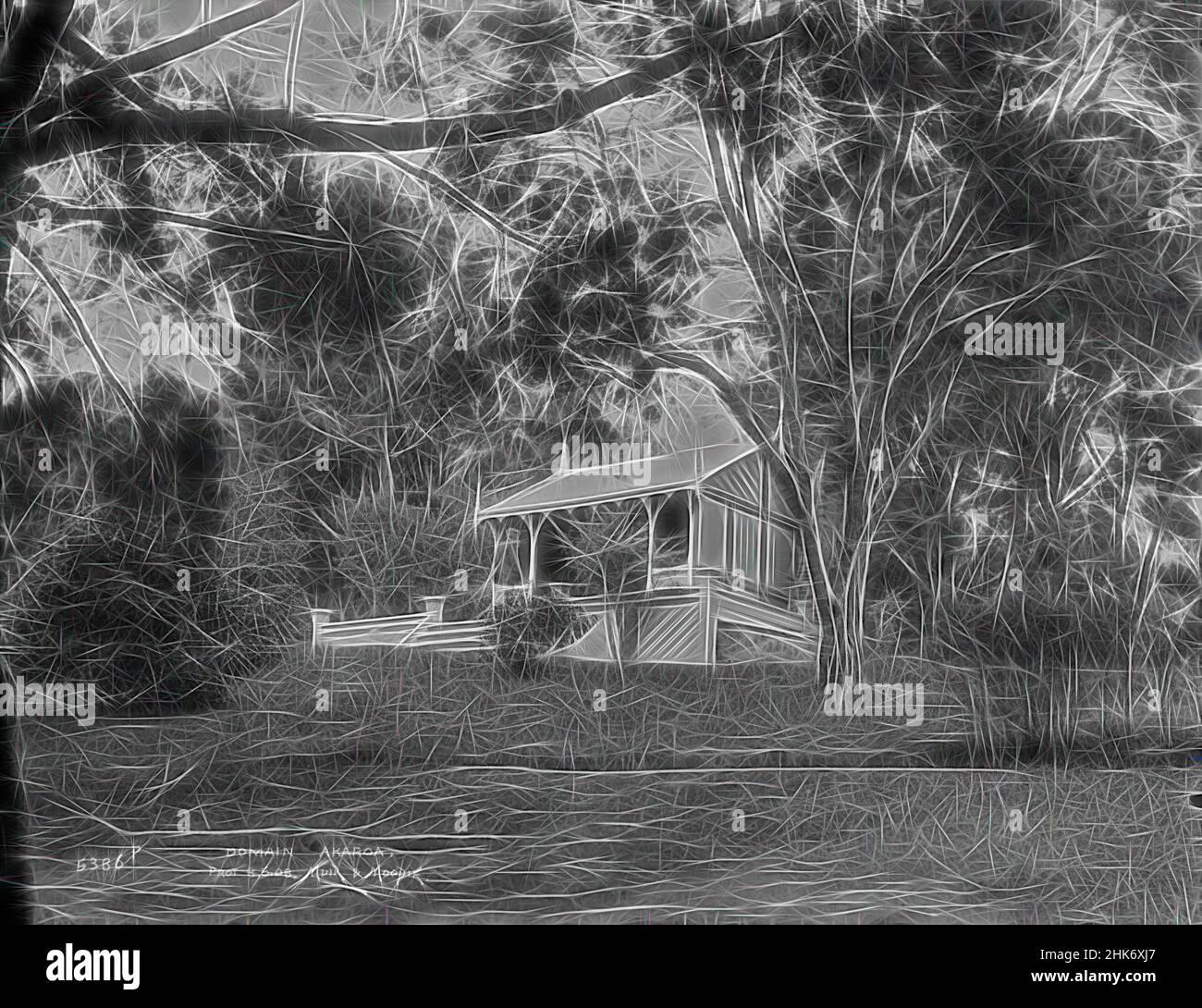 Inspired by Domain, Akaroa, Muir & Moodie studio, photography studio ...