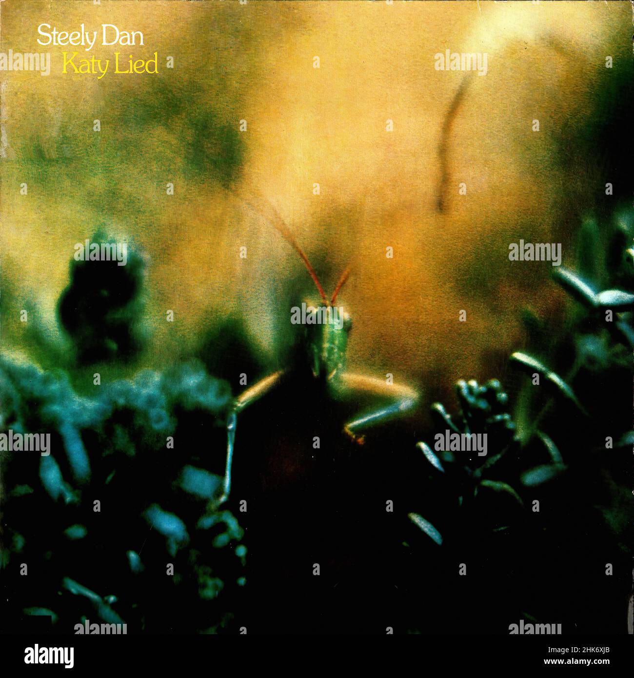 Katy Lied Steely Dan
