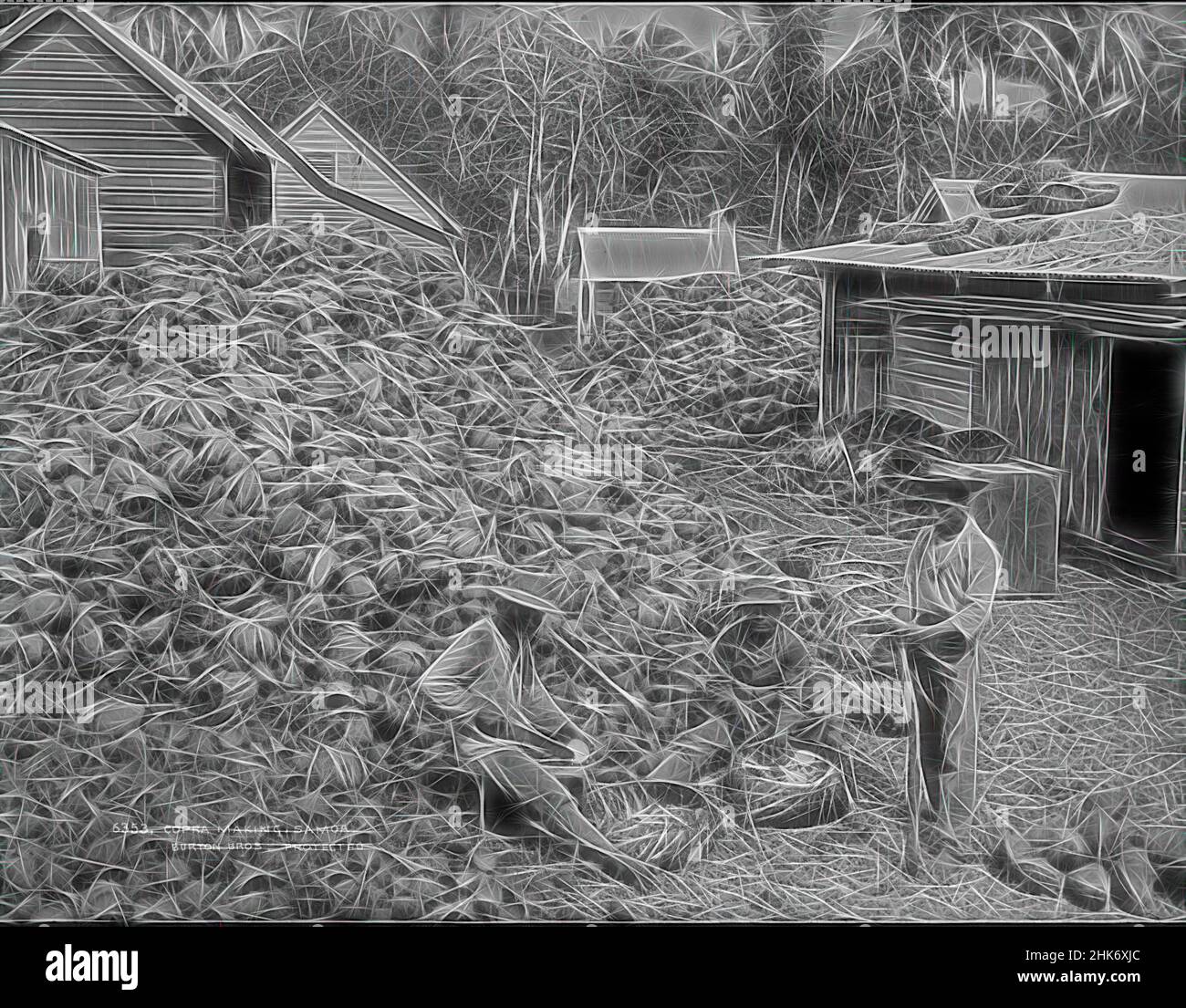 Samoa copra making hi-res stock photography and images - Alamy