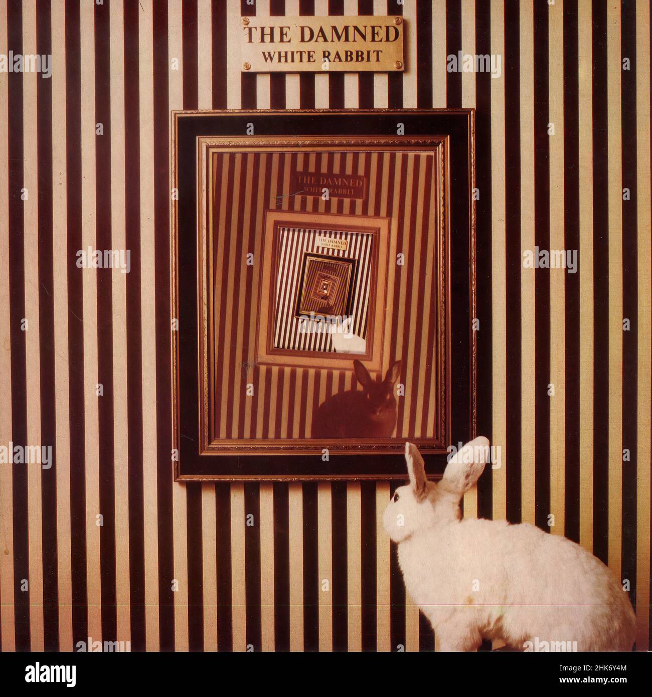 Vintage vinyl record cover -D amned, The - White Rabbit - 12inch Maxi ...