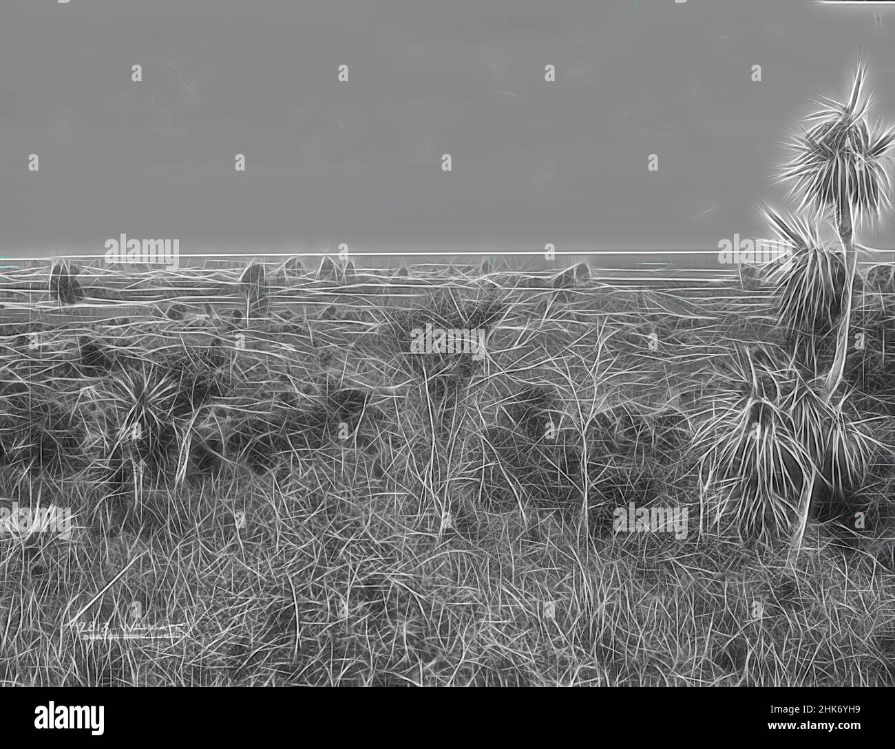 Inspired by Waimate, Burton Brothers studio, photography studio, New ...