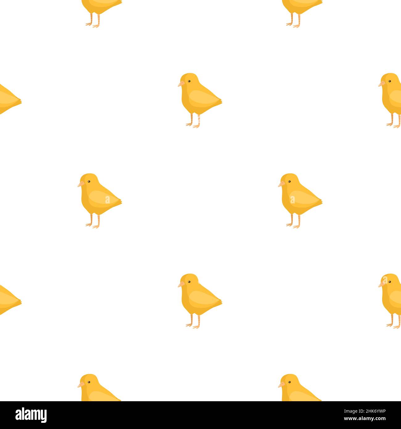 Seamless pattern of chicken. Domestic animals on colorful background ...