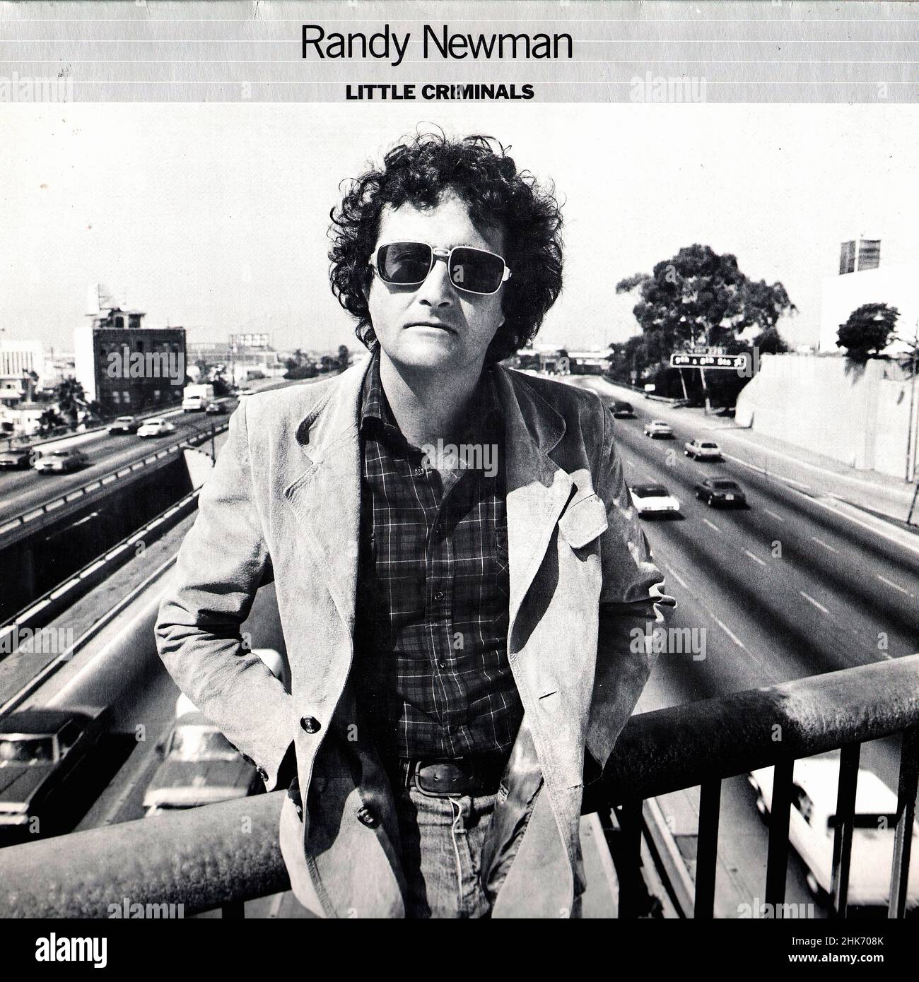 Vintage vinyl record cover - Newman, Randy - Little Criminals - D ...