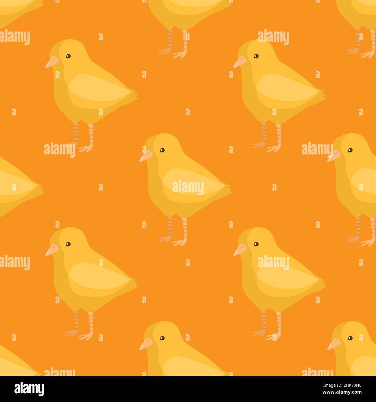 Seamless pattern of chicken. Domestic animals on colorful background ...