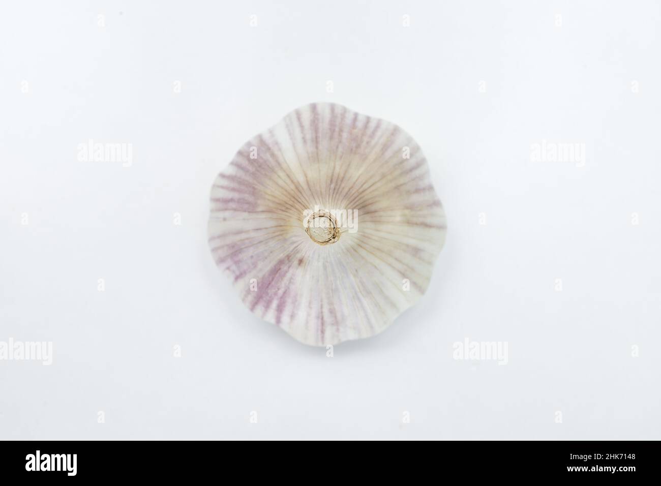 Head of garlic (Allium sativum) with its units still in the bulb and ...