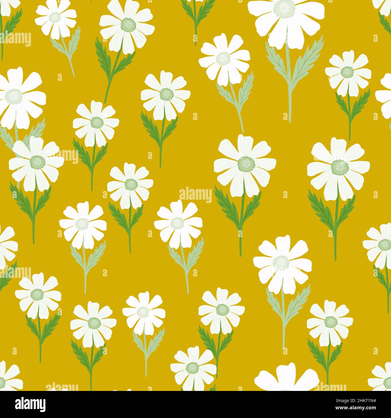 Chamomile pattern seamless in freehand style. Spring flowers on ...