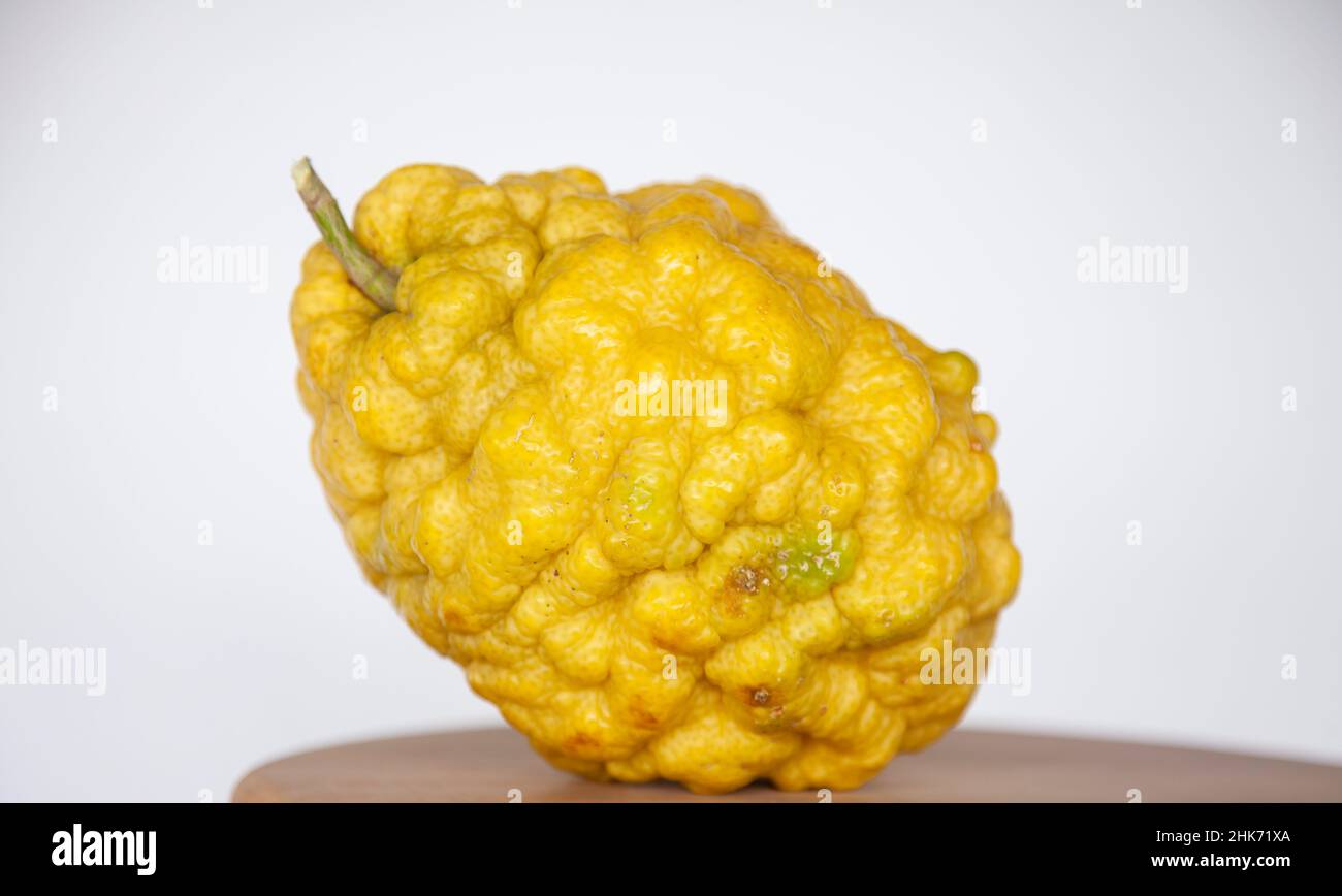 Ripe, organic bergamot.one yellow bergamot. Isolated background and ...