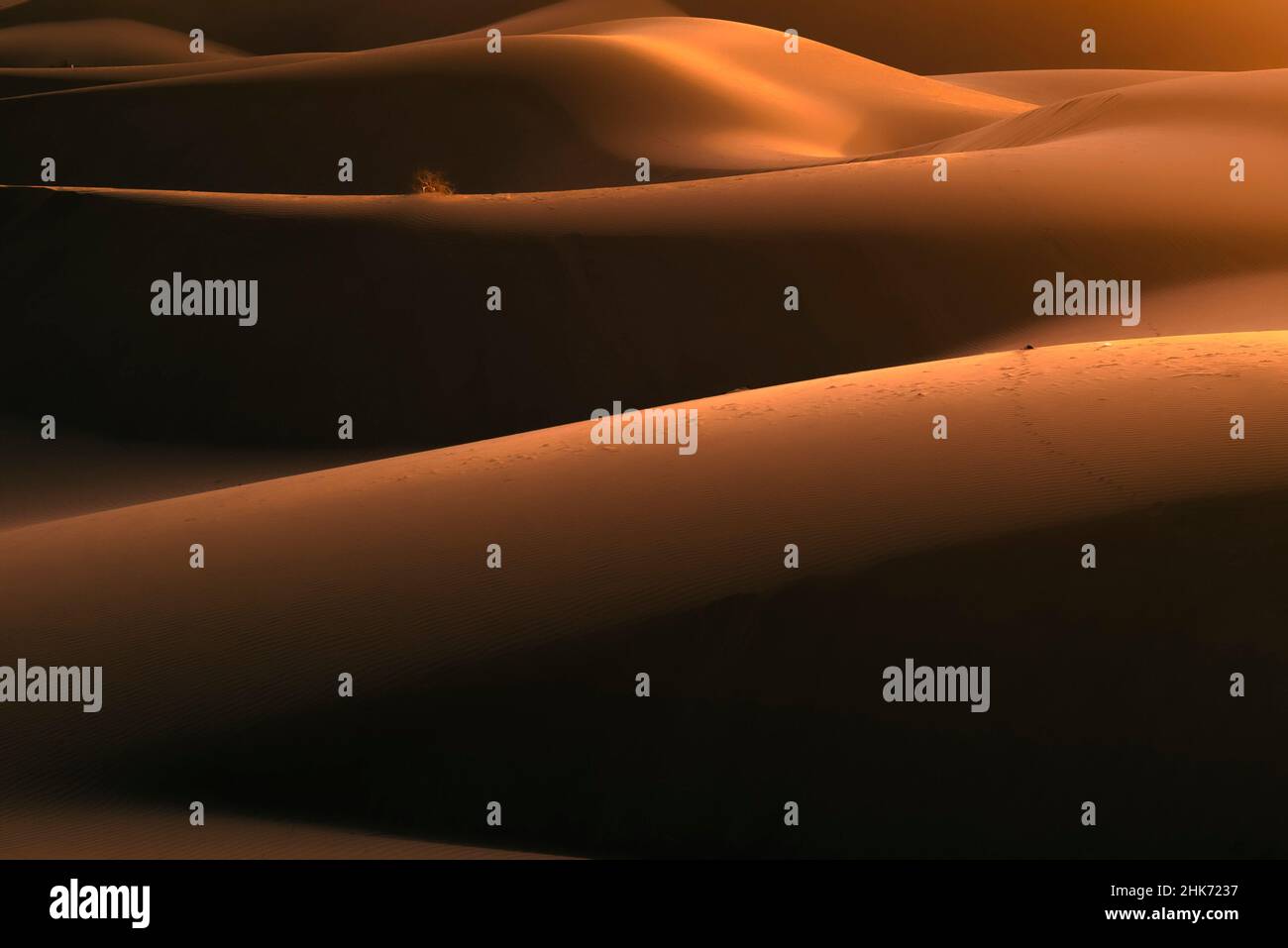 Light in Desert Stock Photo - Alamy