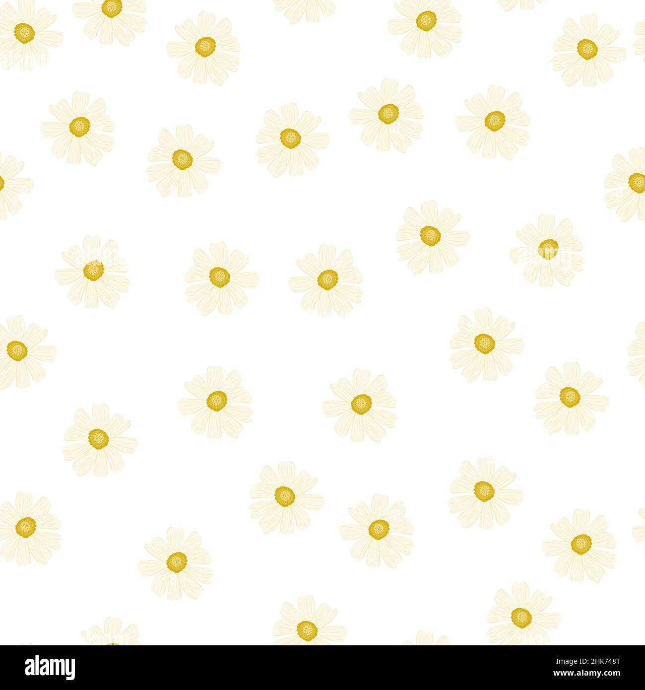 Chamomile pattern seamless in freehand style. Spring flowers on ...