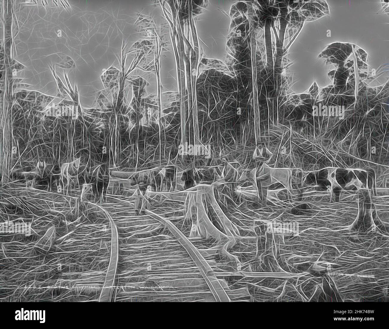 Inspired by Booth's Sawmill, Carterton, Wairarapa, Burton Brothers ...
