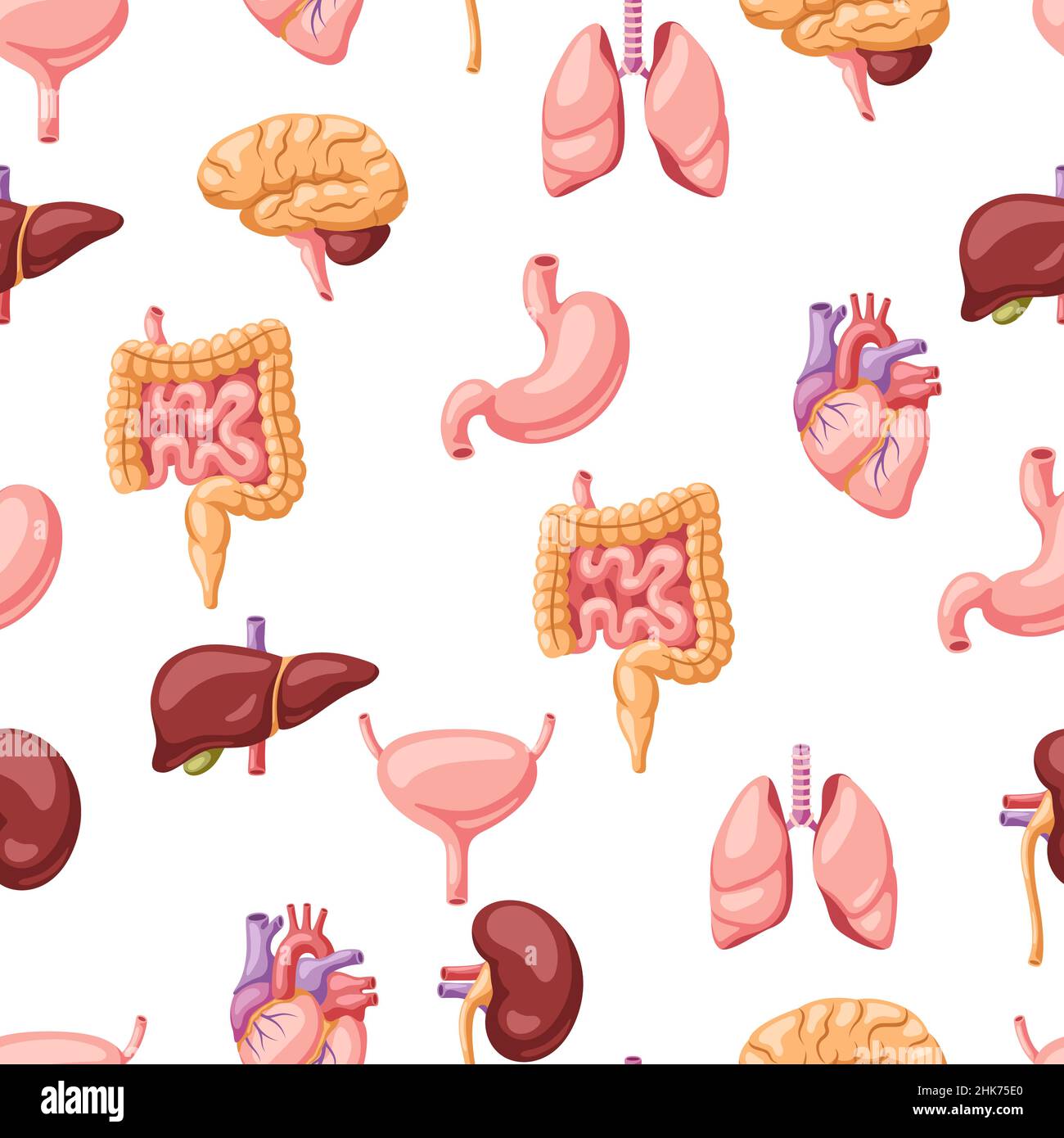 Seamless pattern with internal organs. Human body anatomy. Health care ...