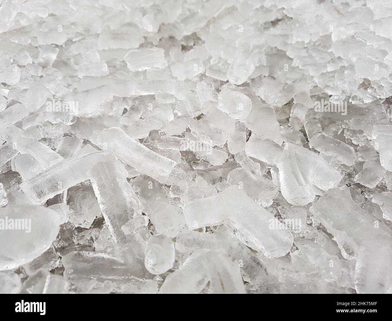 Fallen ice from trees after freezing winter ice storm. Ice-covered ...