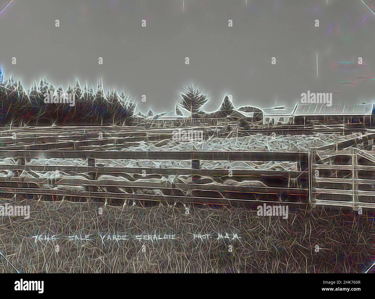 Inspired by Sale Yards, Geraldine, Muir & Moodie studio, photography ...