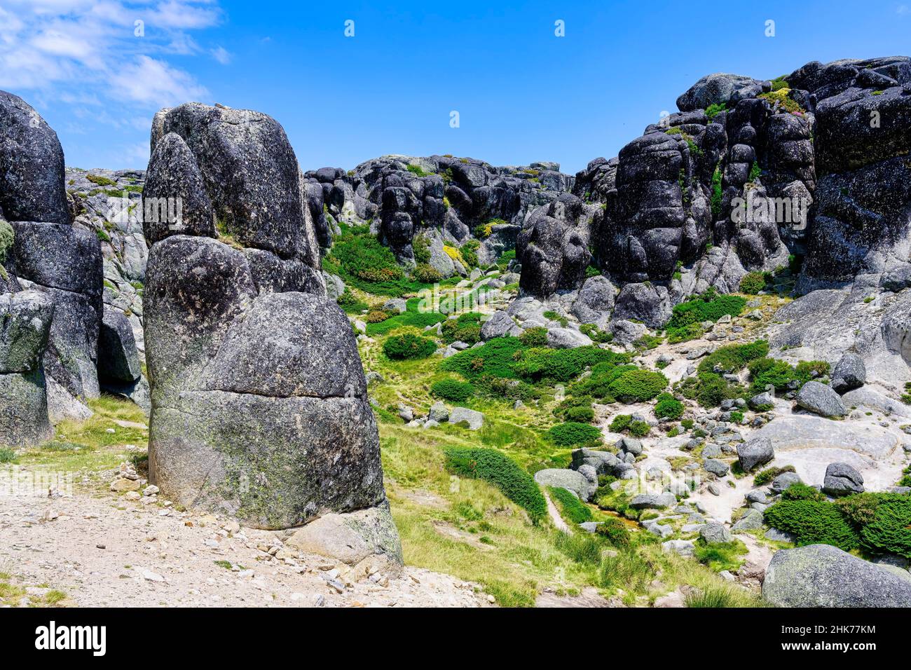 Covao do boi hi-res stock photography and images - Alamy