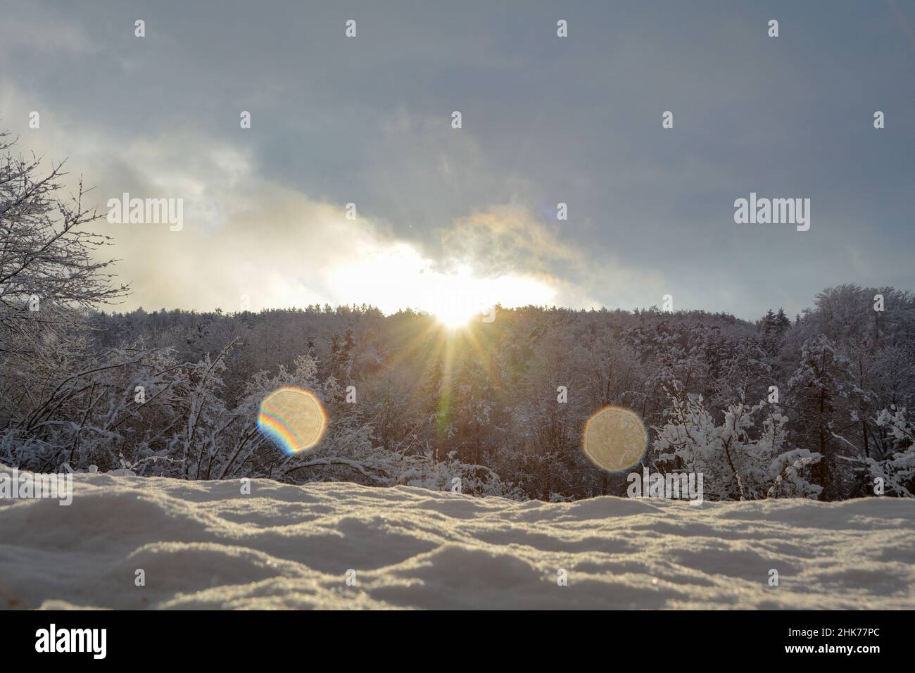 Sunrise in a wintry forest with deep snow in the foreground Stock Photo ...