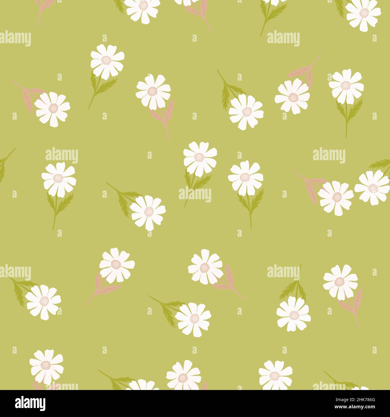 Chamomile pattern seamless in freehand style. Spring flowers on ...