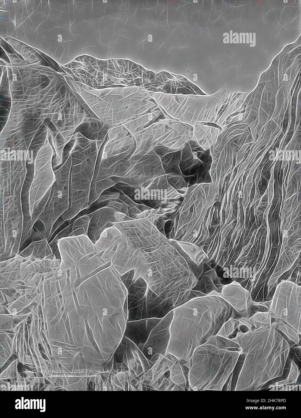 Inspired by Francis Joseph Glacier, Burton Brothers studio, photography ...