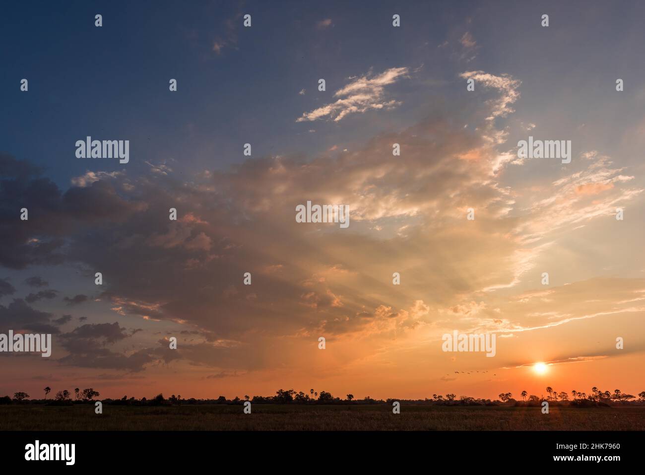 Sunset over the Okavango Delta, Tubu Tree Camp, Botswana Stock Photo ...