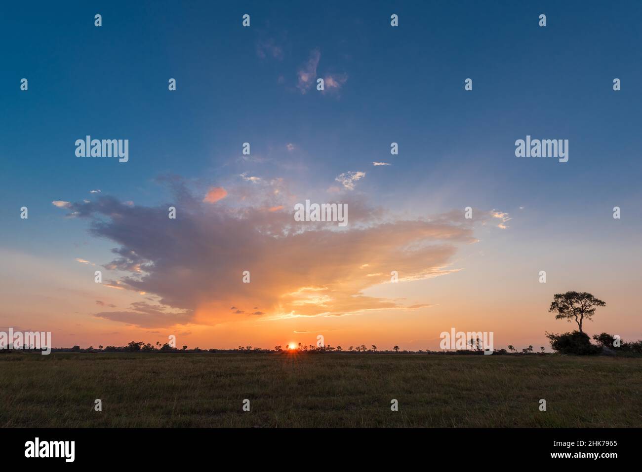 Sunset over the Okavango Delta, Tubu Tree Camp, Botswana Stock Photo ...