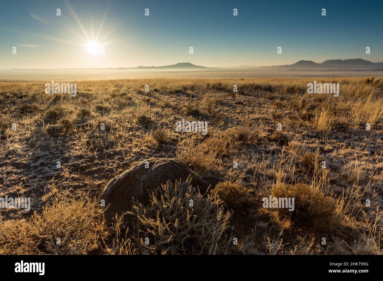 Sunrise over Tiger Canyon Farm, Philippolis, South Africa Stock Photo ...