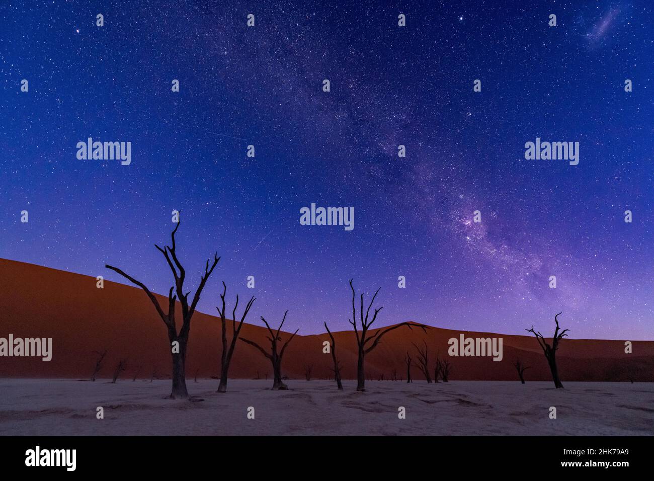 Starry sky with Milky Way over Deadvlei, Sossusvlei, Namib Desert ...