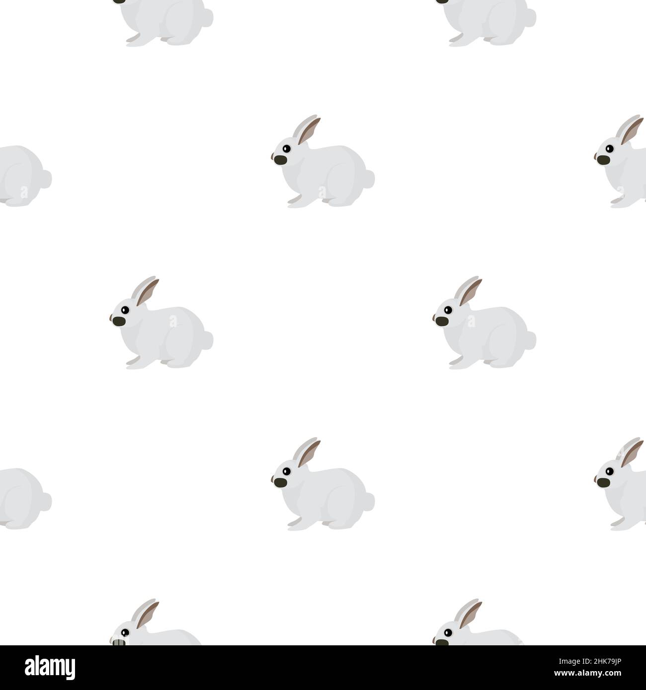 Seamless pattern of rabbit. Domestic animals on colorful background ...