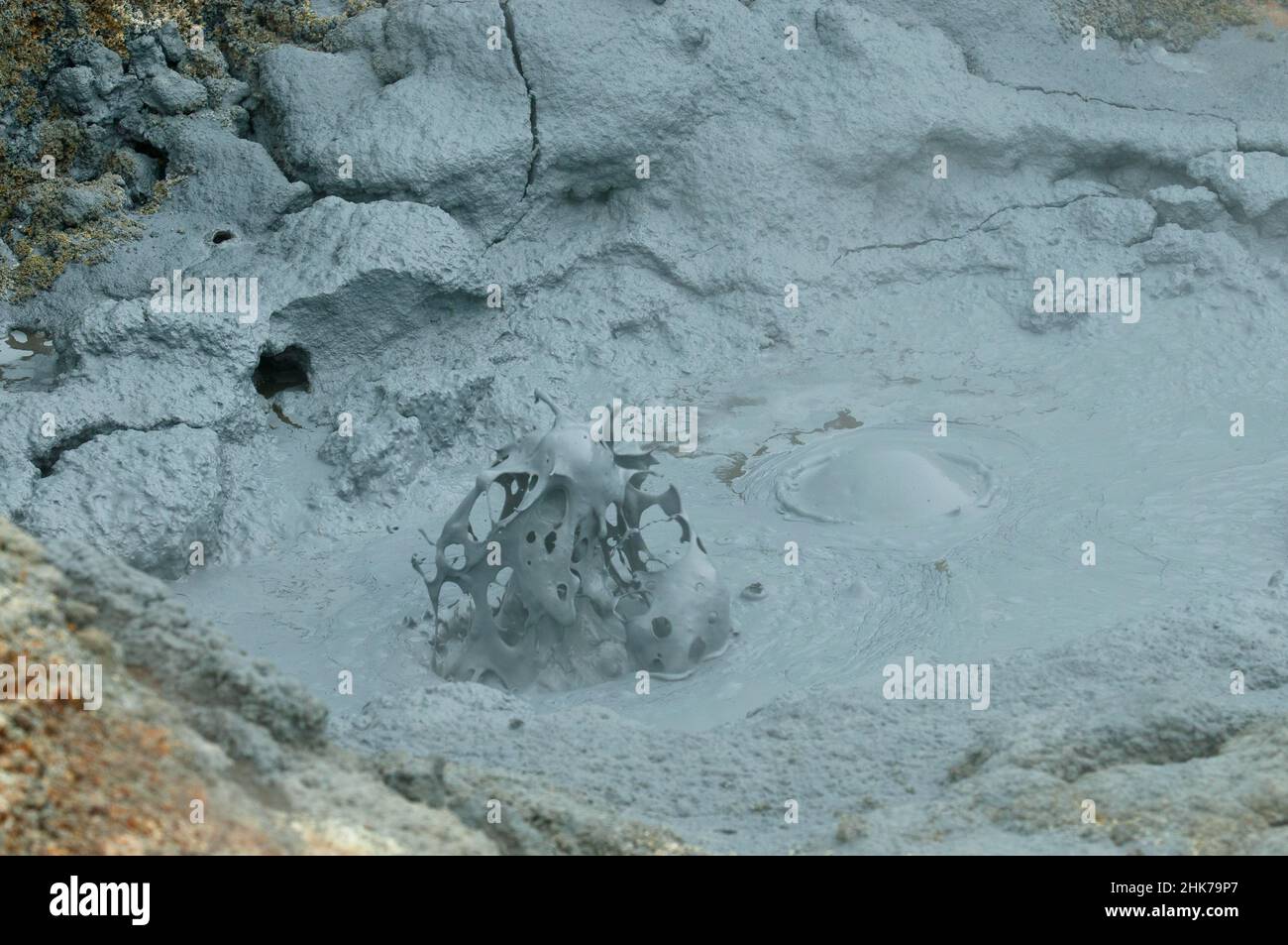 Bubbling mud spring in the Hveraroend geothermal area, also Hverir or ...