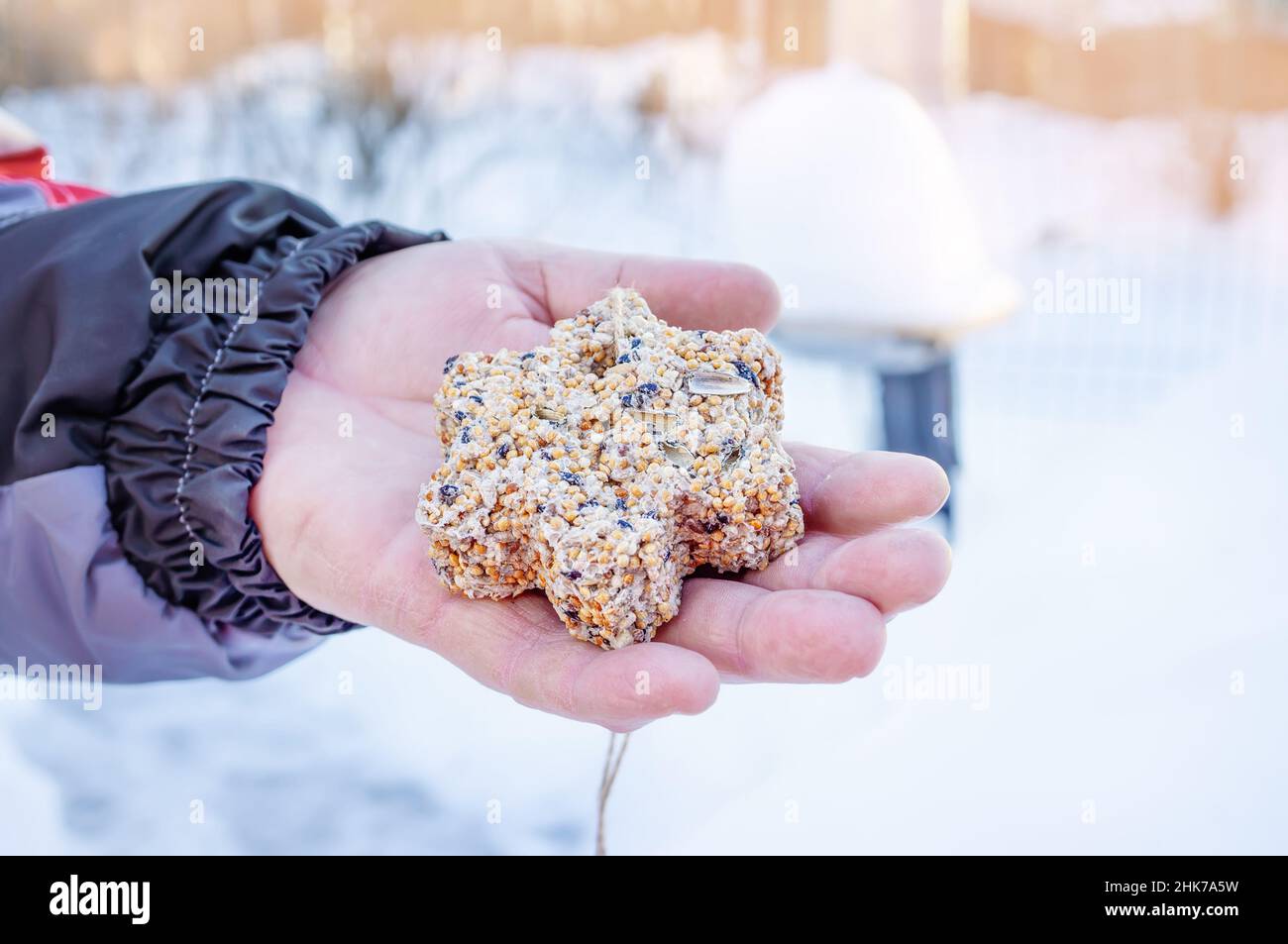 Heart-shaped bird feeder. making feeders for birds from seeds and fat ...