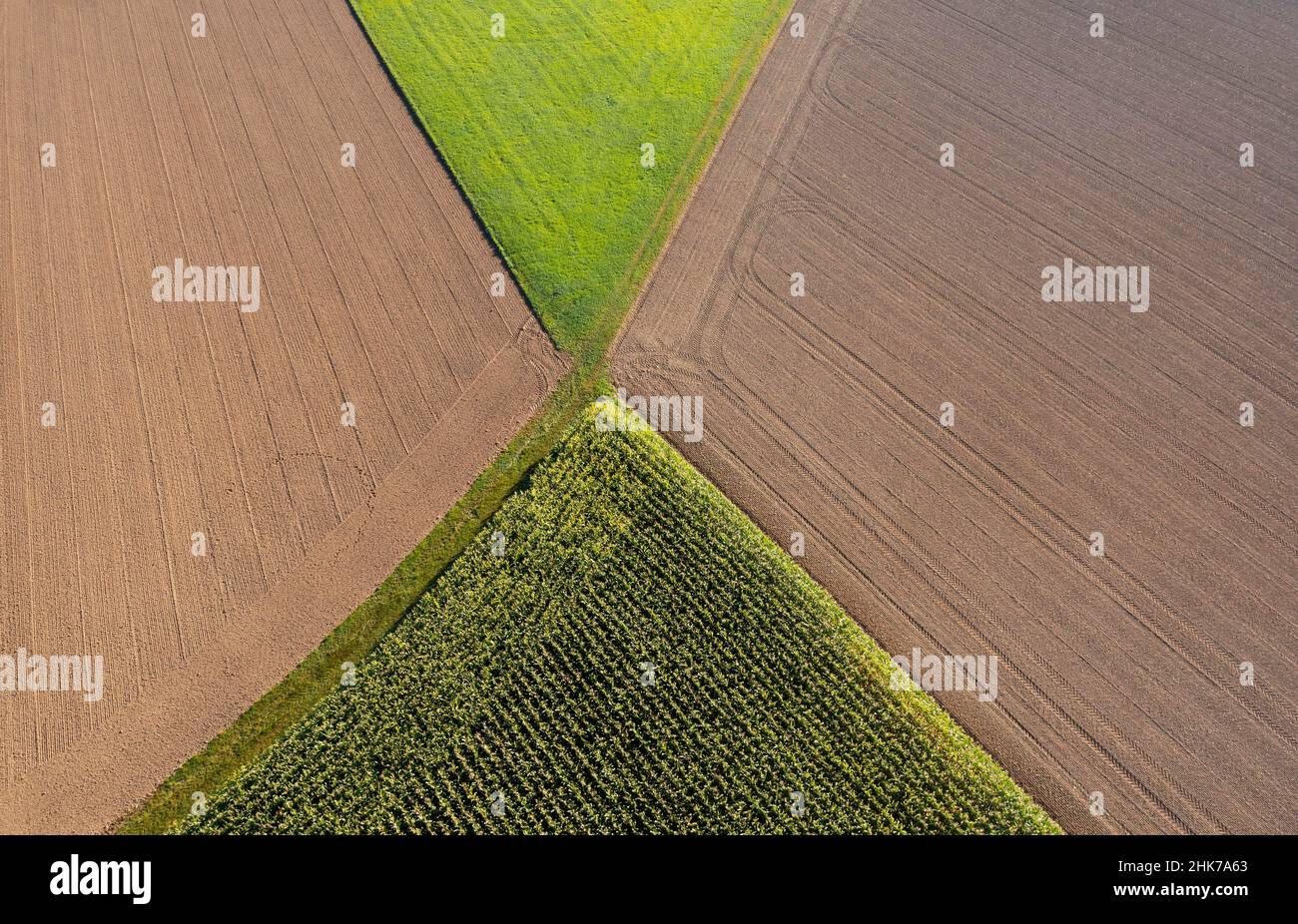 Drone image, maize field and harvested fields from above, agricultural ...