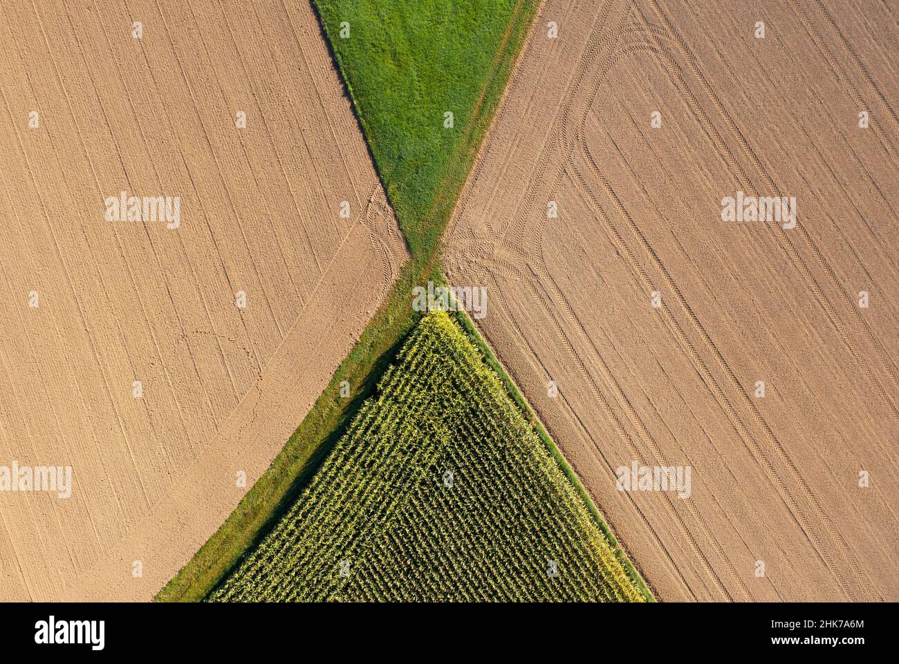 Drone image, maize field and harvested fields from above, agricultural ...