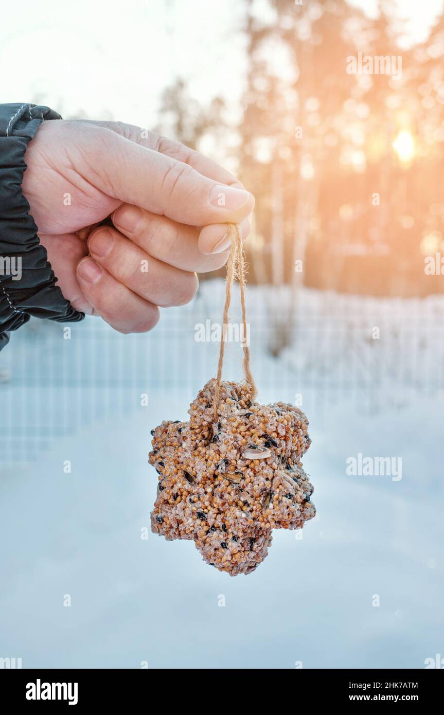 Heart-shaped bird feeder. making feeders for birds from seeds and fat ...