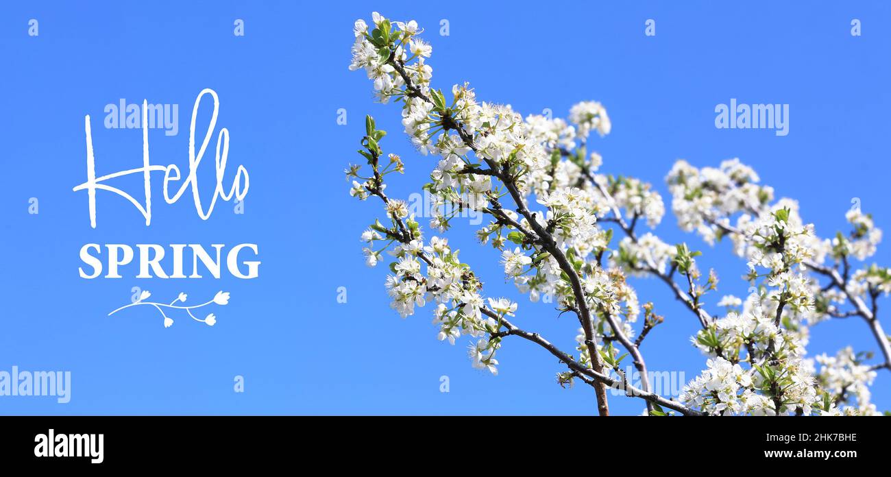 Hello spring floral poster hi-res stock photography and images - Alamy
