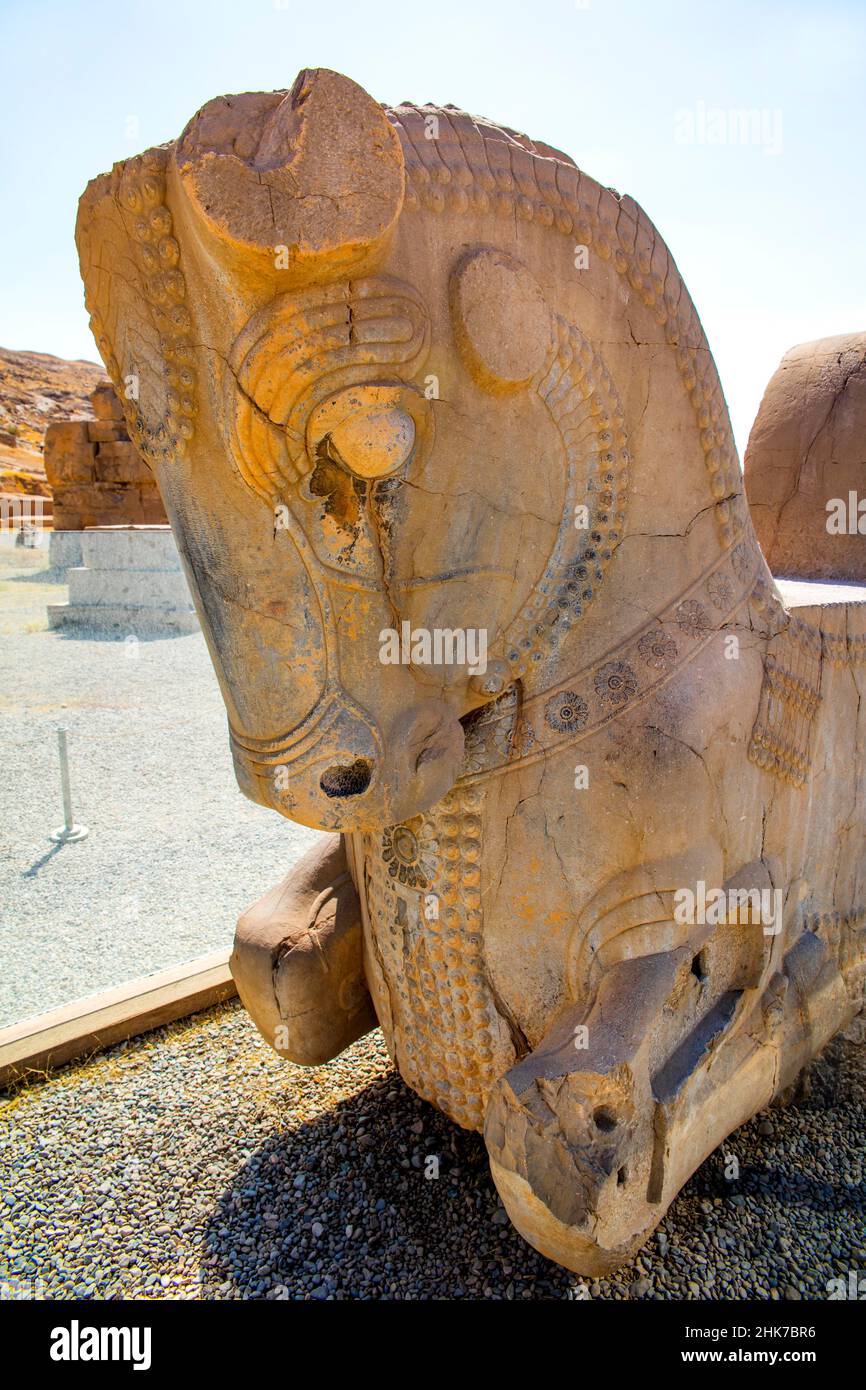 Bull capital persepolis iran hi-res stock photography and images - Alamy