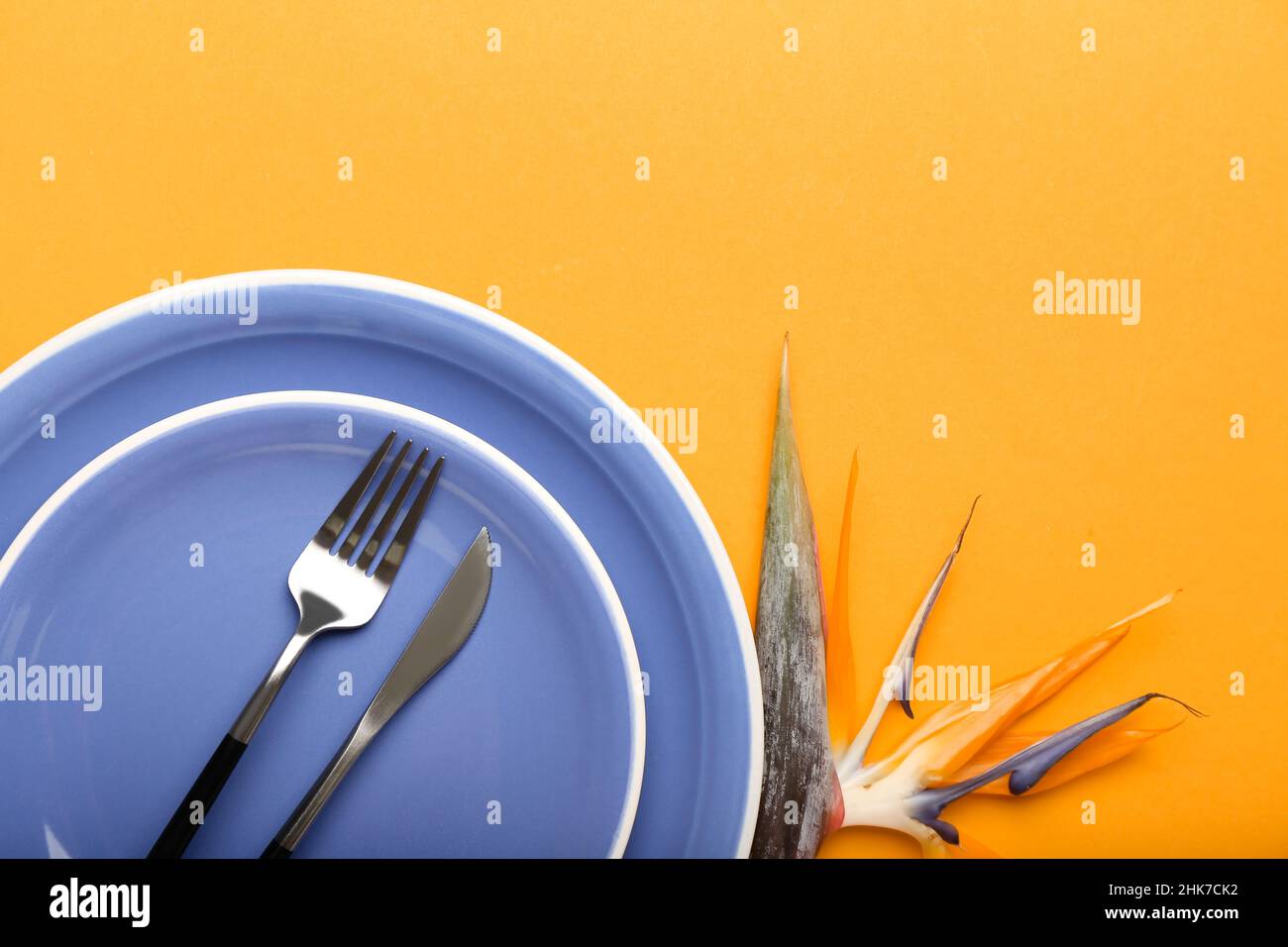 Simple table setting with bird of paradise flower on orange background ...