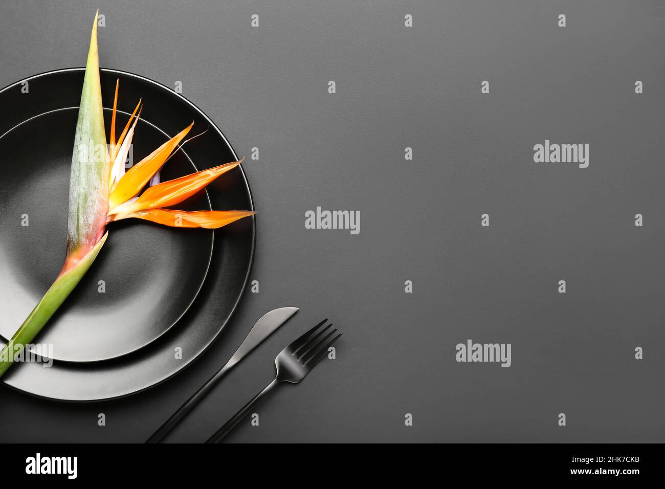 Simple table setting with bird of paradise flower on dark background ...