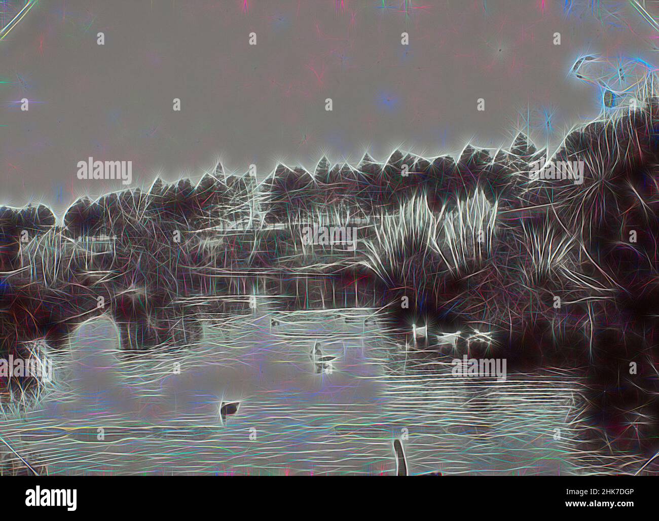 Inspired by Gardens, Timaru, Muir & Moodie studio, 1911, Timaru ...