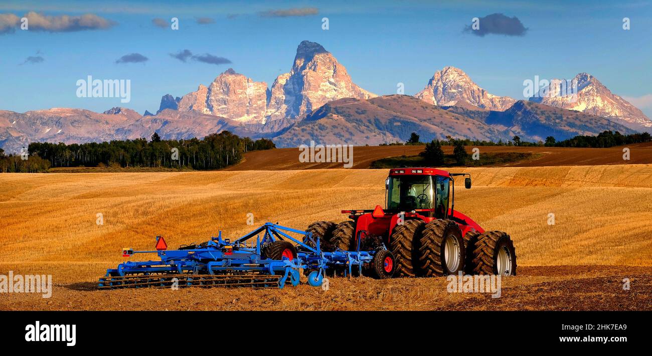 Tractor Equipment Farming Ground Harvesting crops in fall Autumn with ...