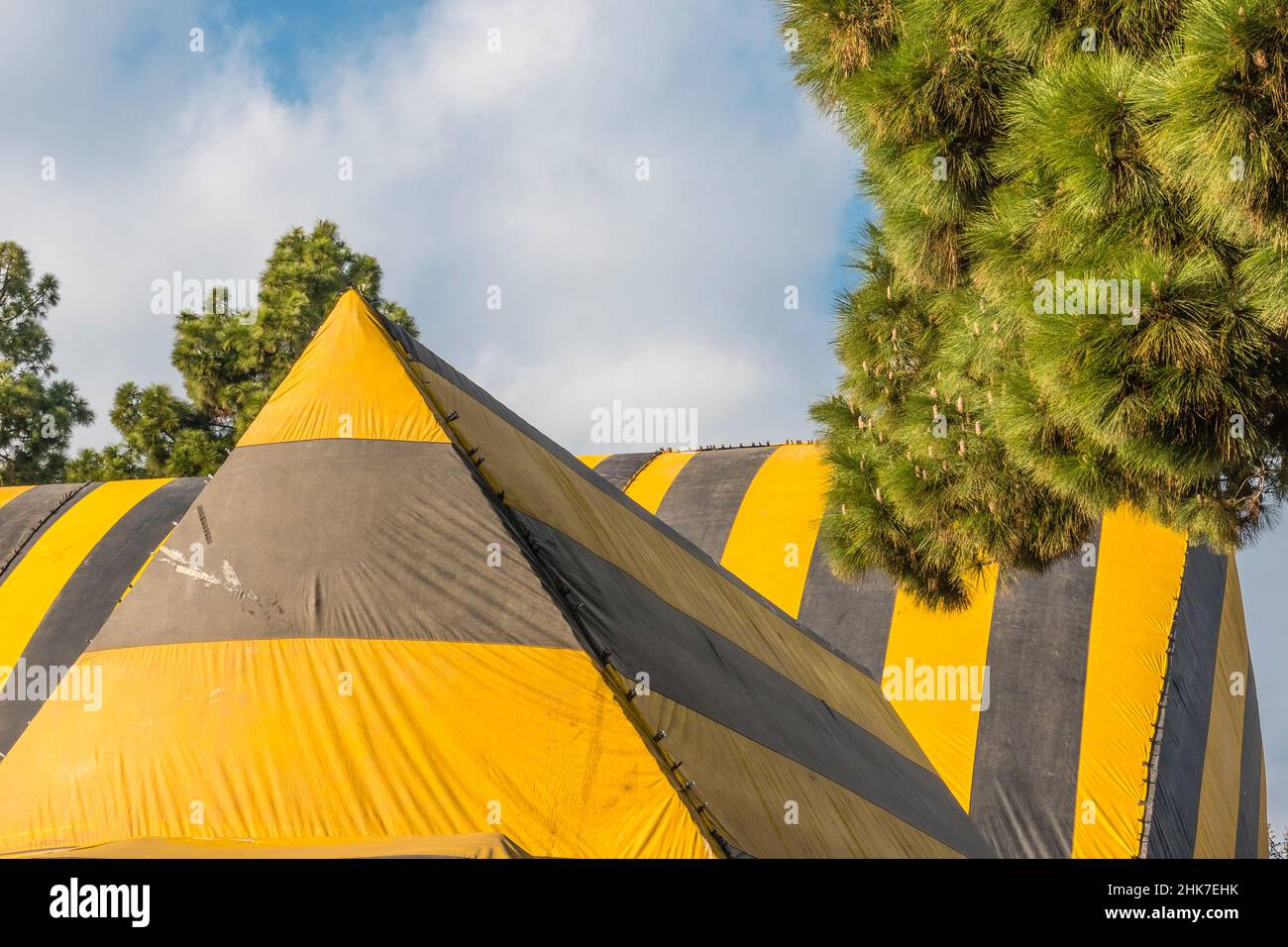 A tall A-frame roofed church that is tented for fumigation with a ...