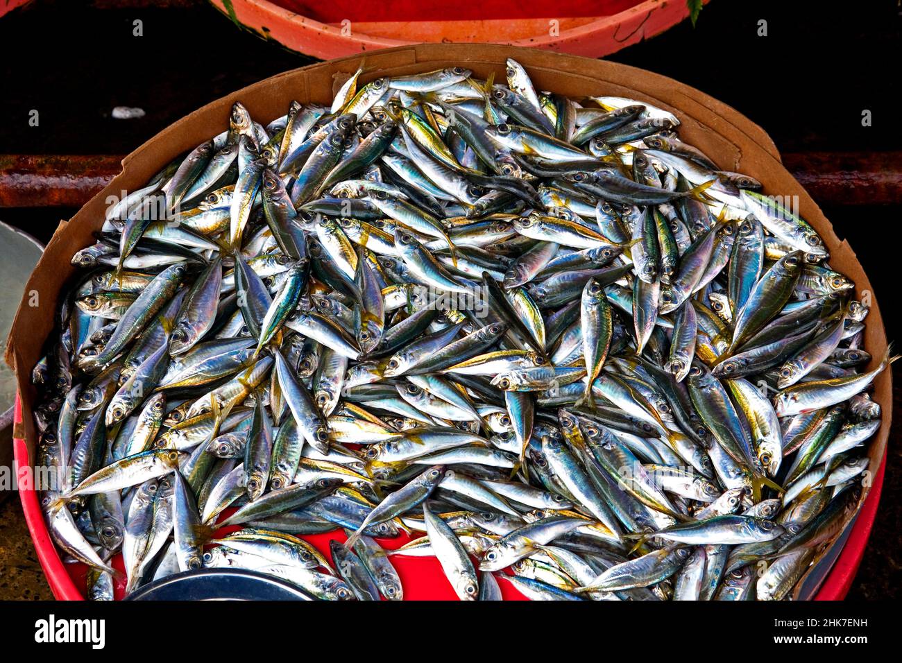 Fish Market in the Karakoey district, Istanbul, Turkey Stock Photo - Alamy