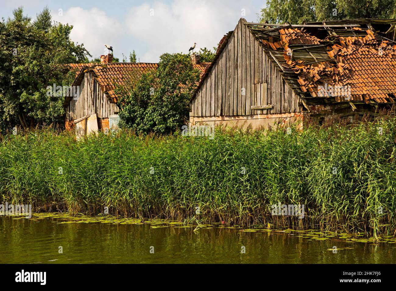 Lithuanian stork hi-res stock photography and images - Alamy