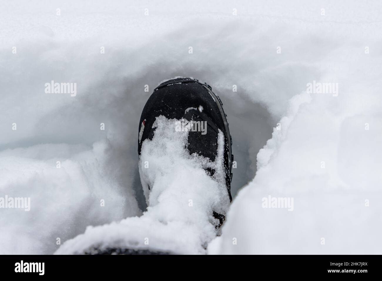 Standing in deep snow Stock Photo - Alamy