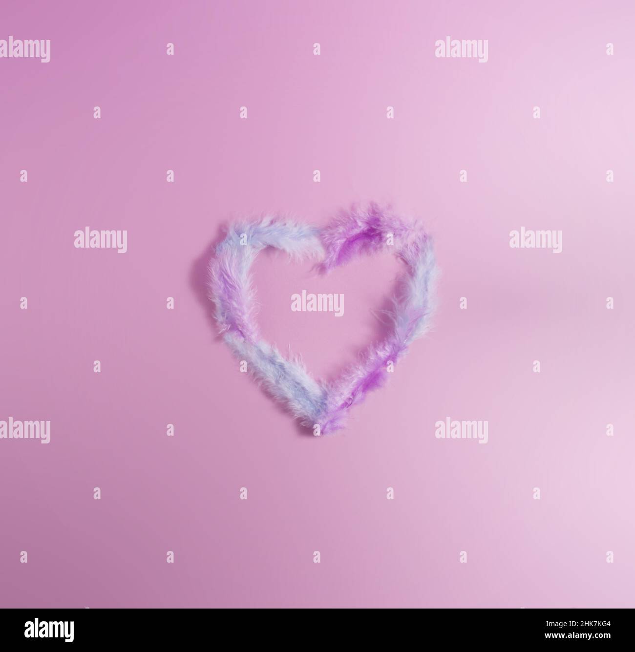 Heart made of blue and violet feathers on a pastel pink background ...