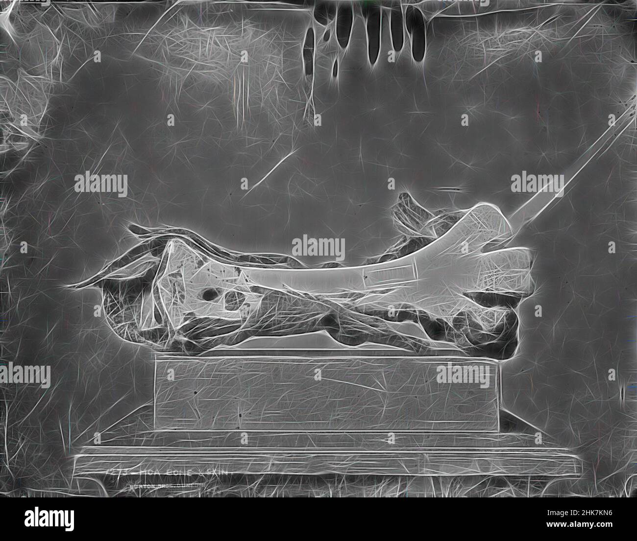 Inspired by Moa bone and skin, Burton Brothers studio, photography ...