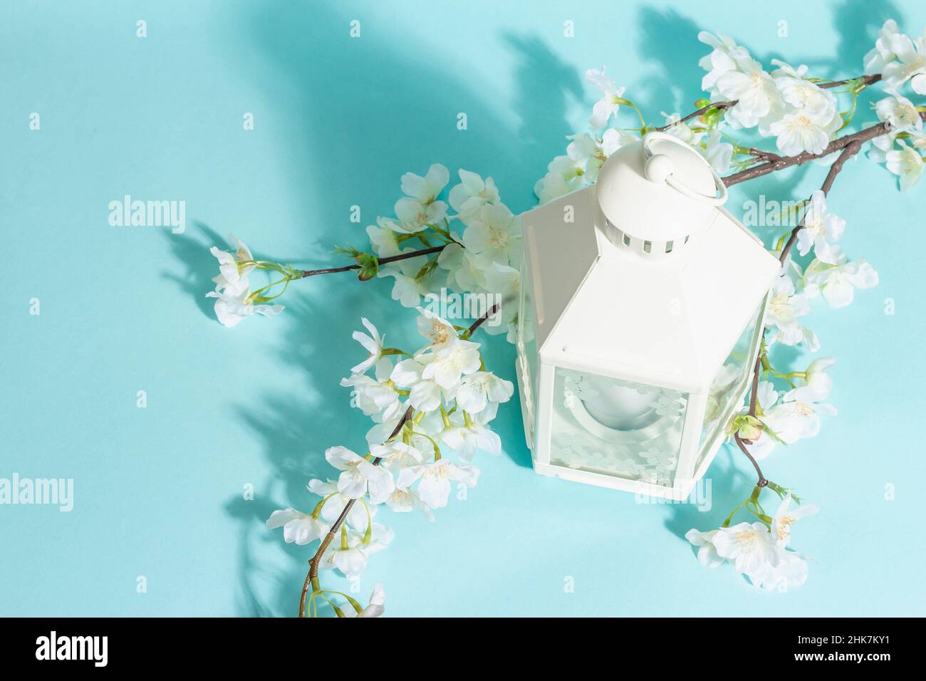 Blossoming cherry twig and white lantern isolated on blue background ...