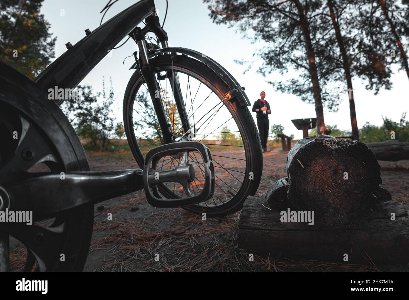 Man on a bike in the autumn forest in the evening at sunset Stock Photo - Alamy