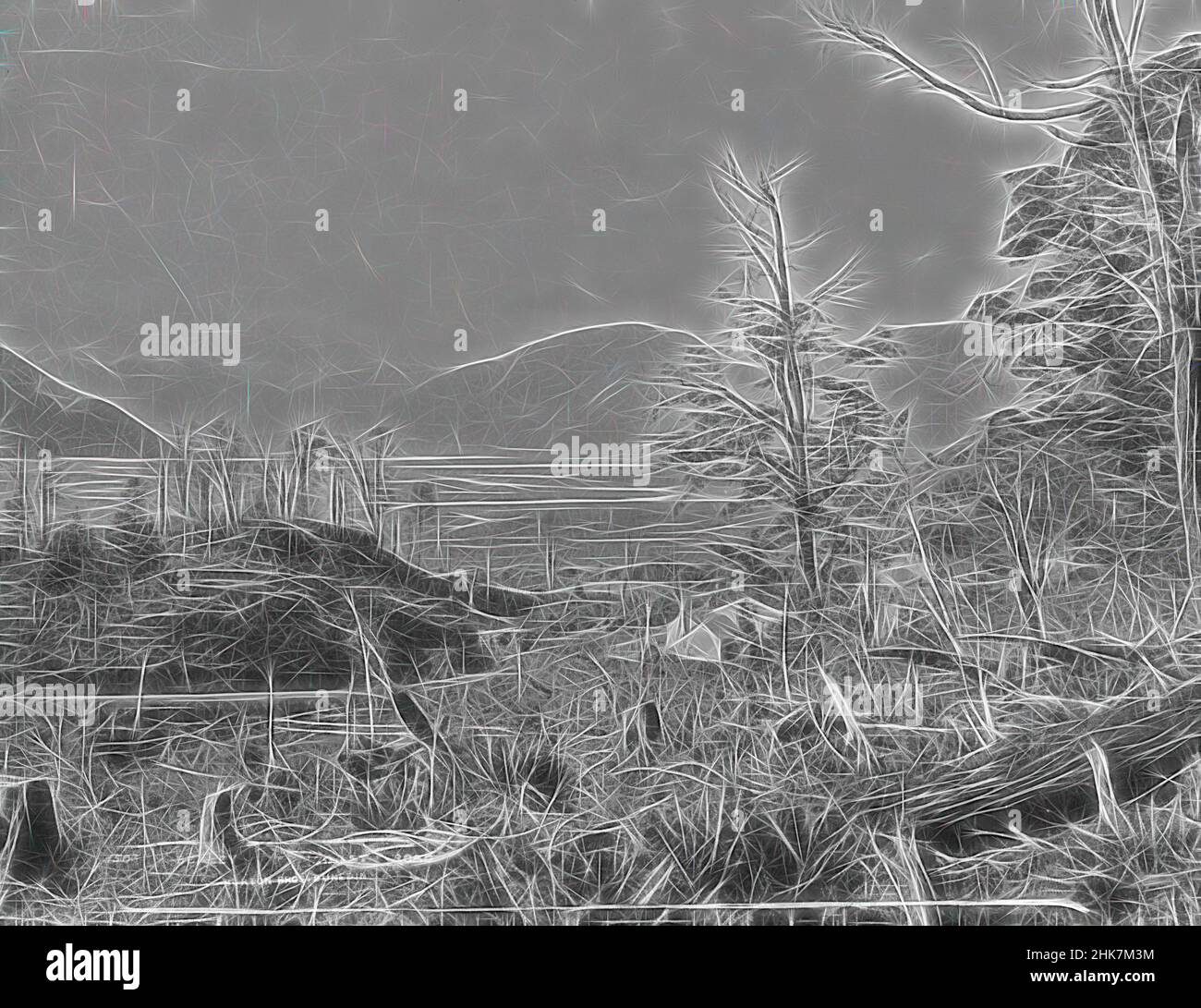 Inspired by Bealey, West Coast Road, Burton Brothers studio, photography studio, New Zealand ...