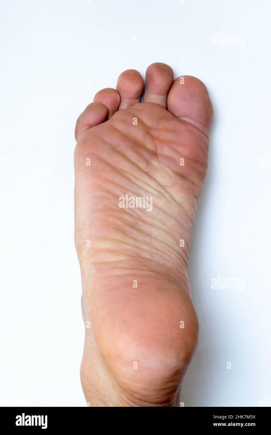 Human body parts hi-res stock photography and images - Alamy