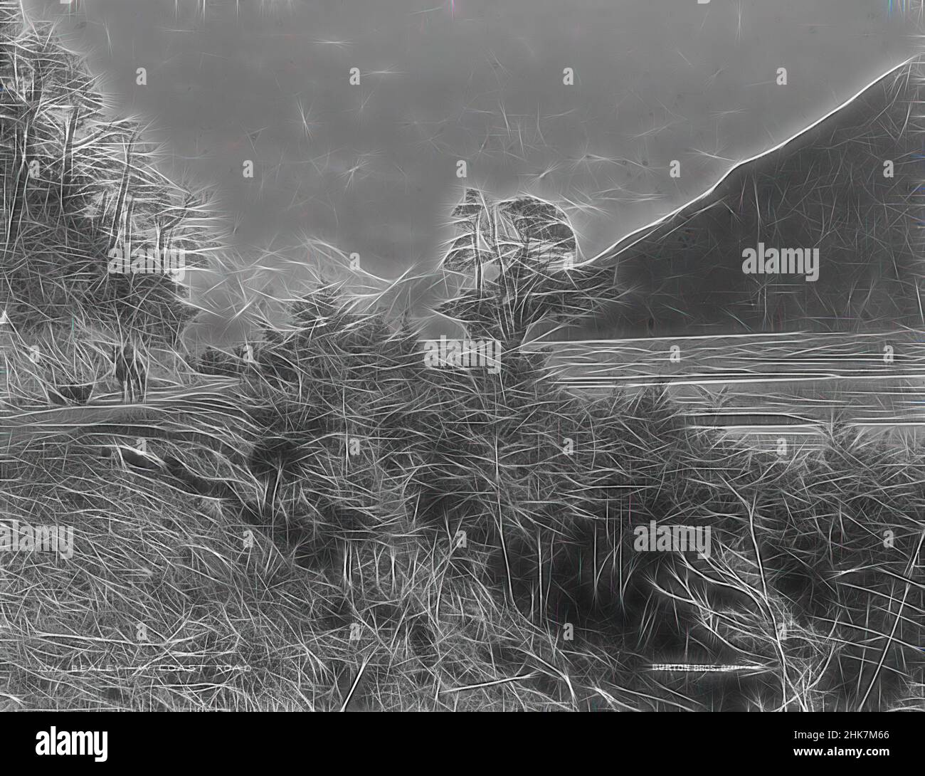 Inspired by Bealey, West Coast Road, Burton Brothers studio, photography studio, New Zealand ...